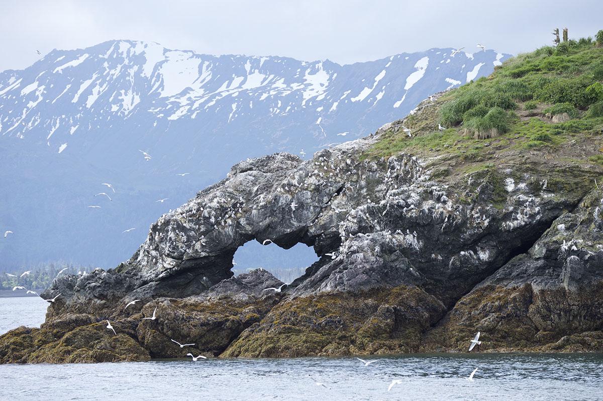 Alaska Highlights Tour - Alaska Travel Connections
