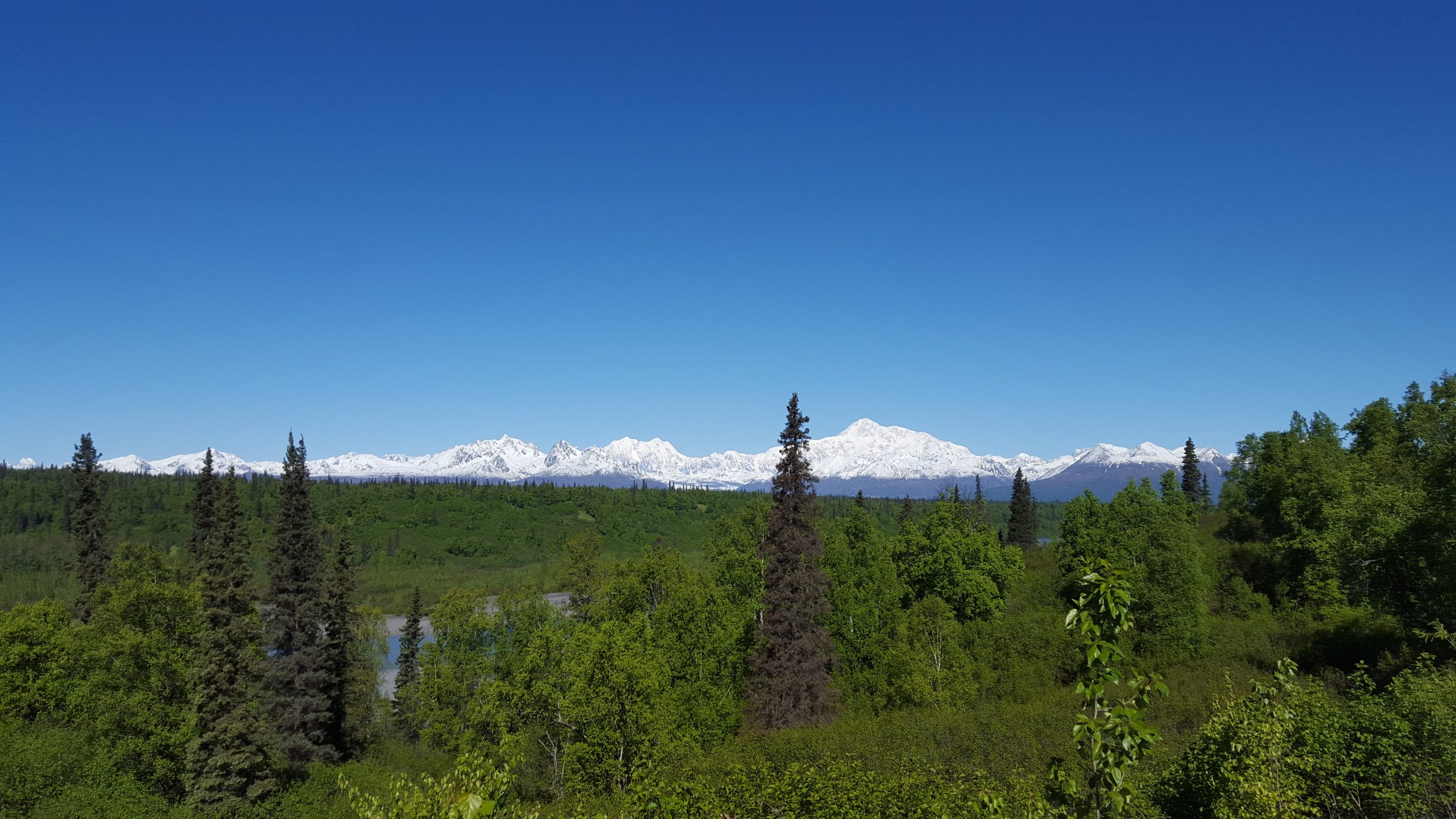 Grande Denali Tour - Alaska Travel Connections